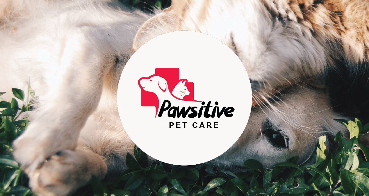 Pawsitive Pet Care - SERC